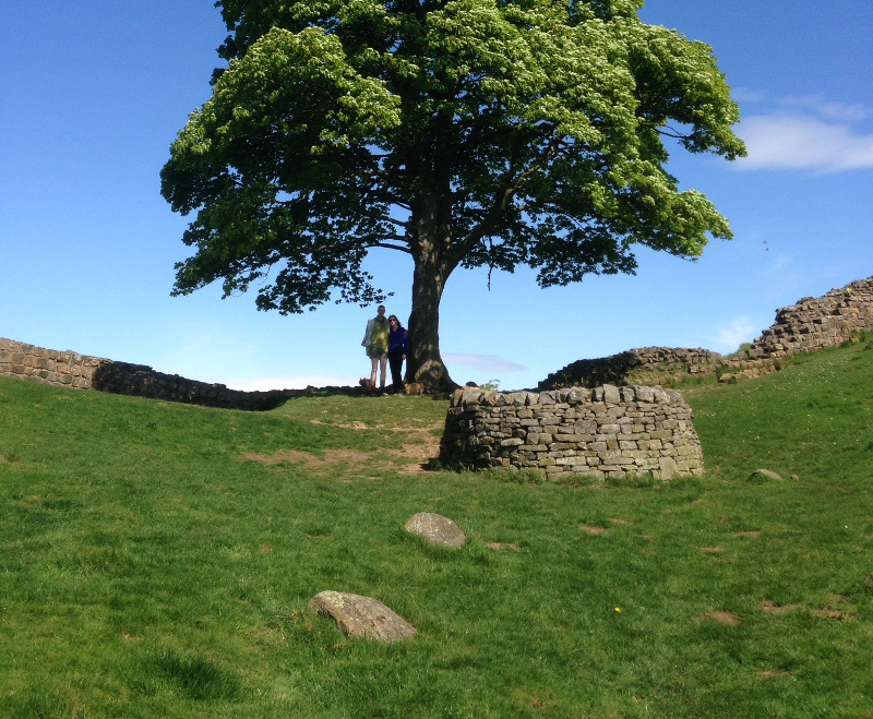Castle Holt